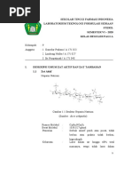 Makalah Infusa Dan Dekokta | PDF | Kesehatan Holistik