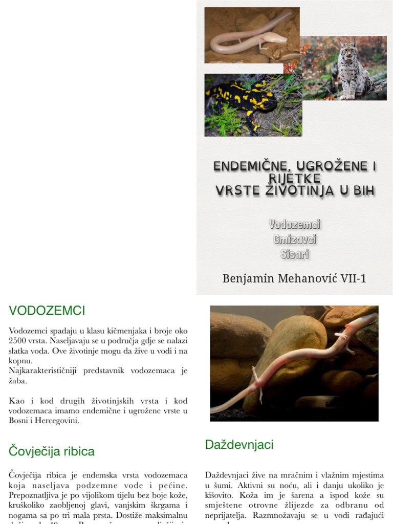 Biologija - Endemične Vrste | PDF