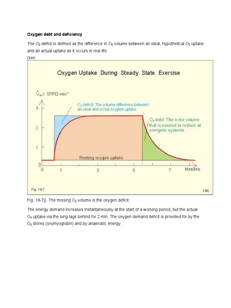 Oxygen Debt and Deficiency | PDF