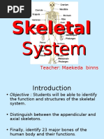 Skeletal System 206 Bones Comprehensive List | PDF | Skull ...