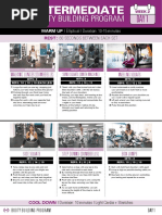Workout Plan | PDF | Wellness