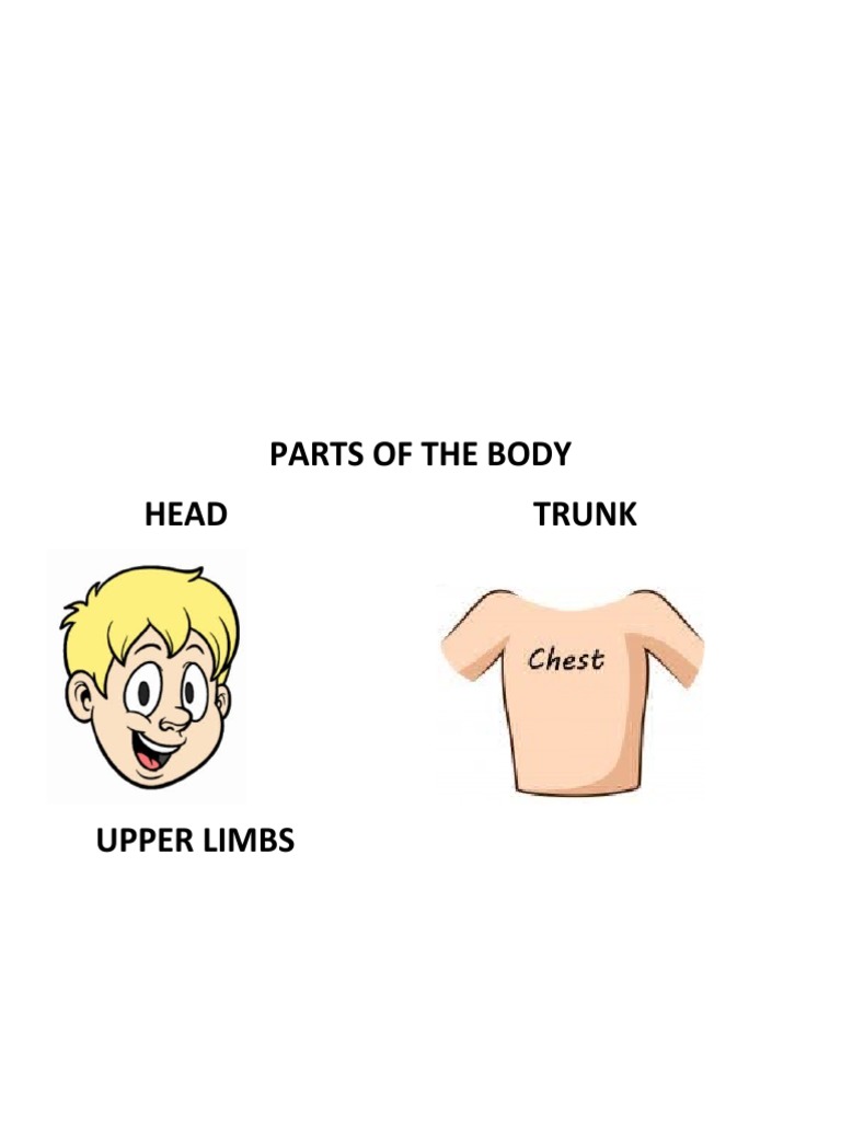 Parts of The Body Head Trunk | PDF