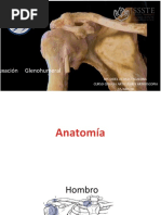 RM Rodilla para Dummies | PDF | Rodilla | Extremidades (anatomía)
