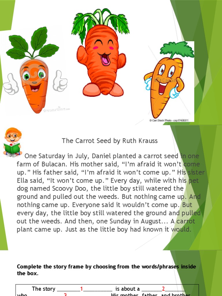 Carrot Seed: Nouns in Story Analysis | PDF | Noun | Syntax