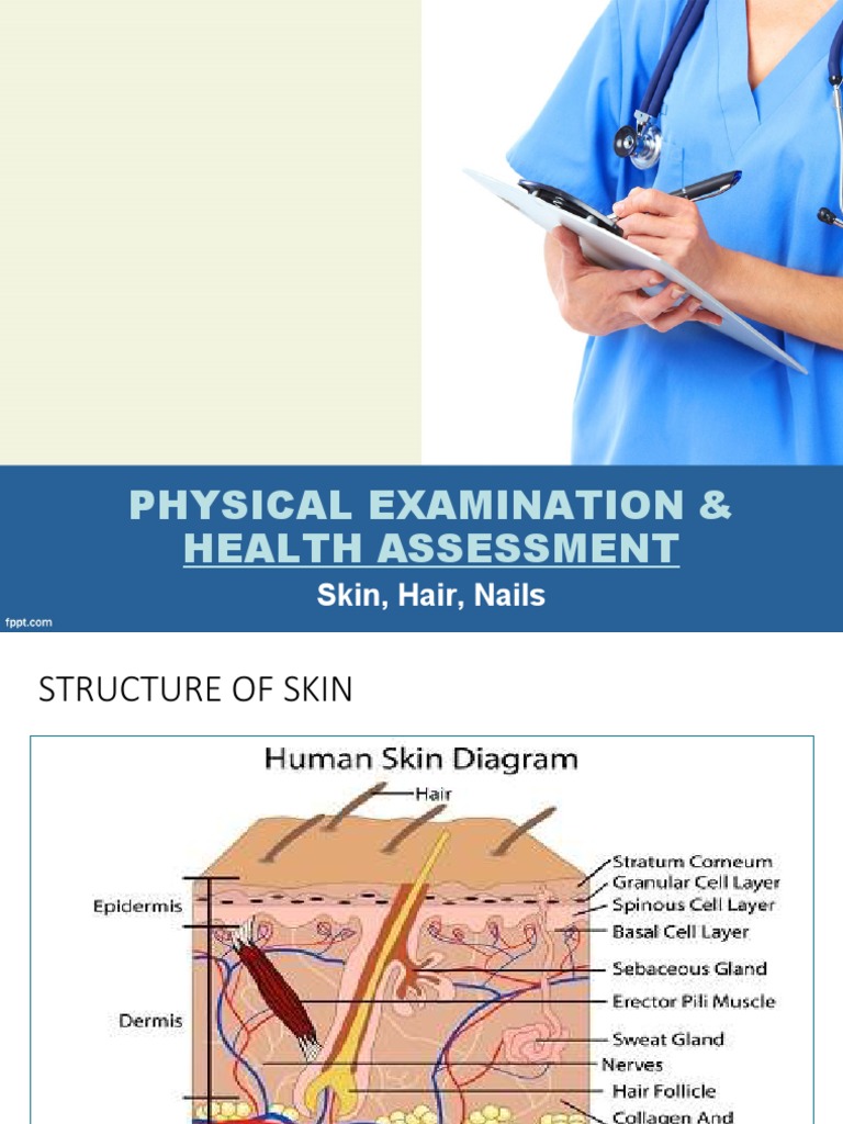 A Comprehensive Guide to Skin Examination: Evaluating Structure ...