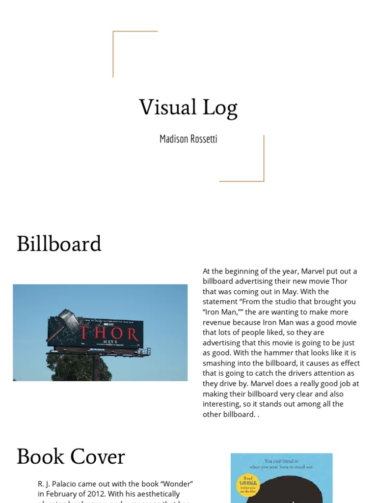 Visual Log | PDF