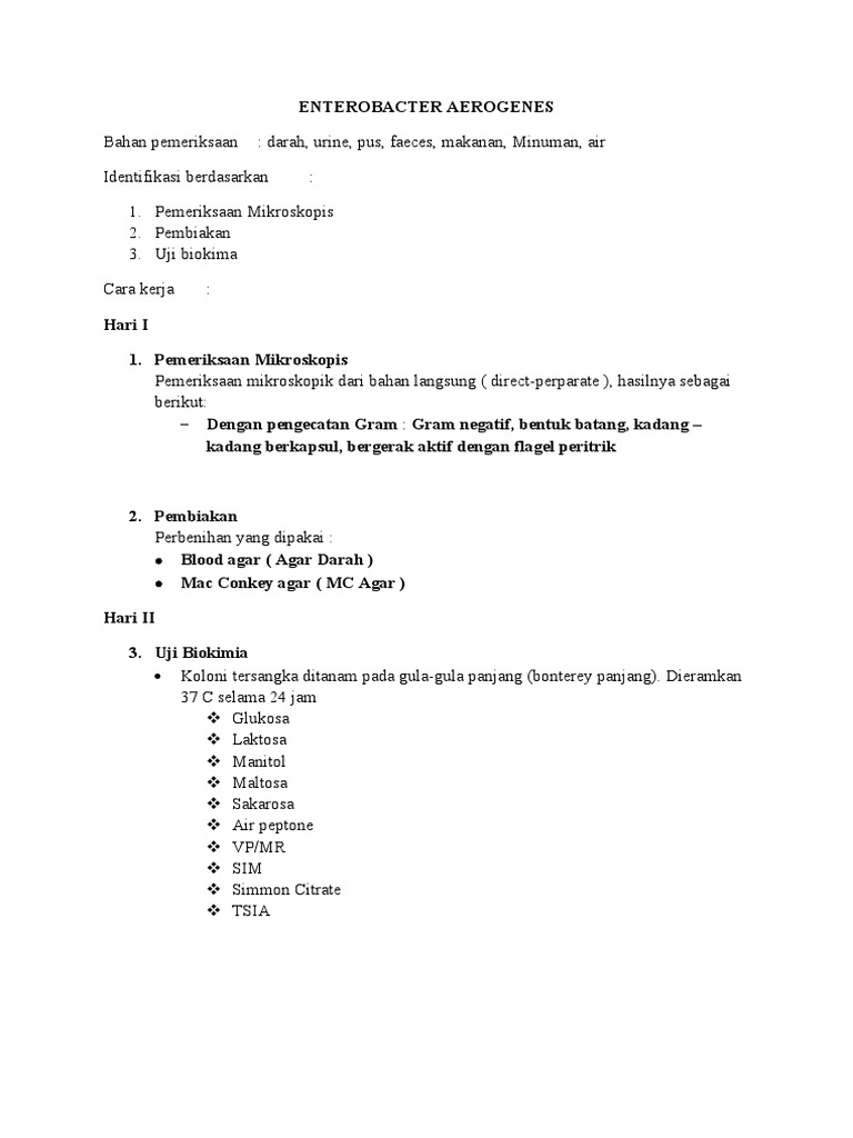 Enterobacter Aerogenes | PDF