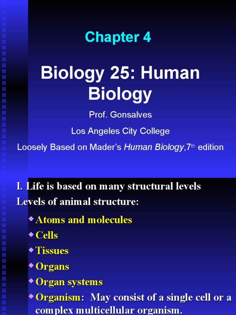 Biology 25: Human Biology: Prof. Gonsalves Los Angeles City College ...