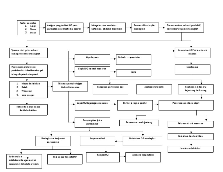 Pathway Asma | PDF