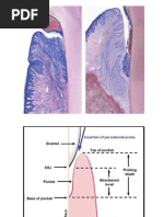PR2 - Tabular RRL Template Sample 1 | PDF | Body Image | Adolescence