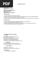 PLANIFICARE CLASA A 7-A Romana | PDF