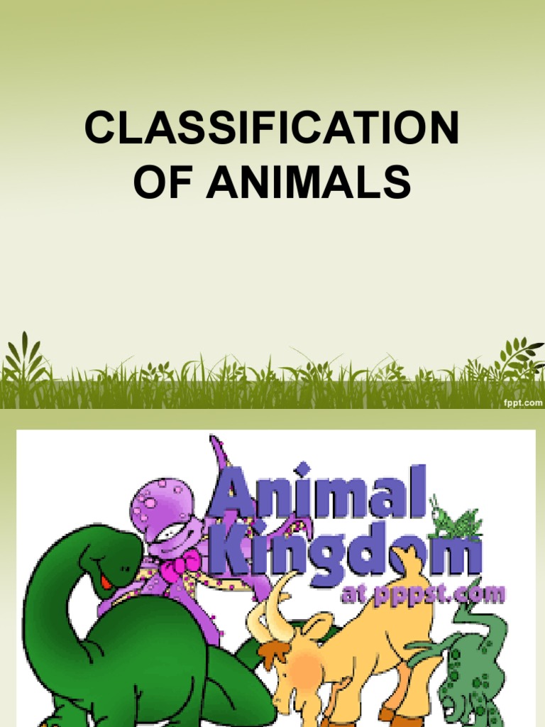 Classification of Animals | PDF | Amphibian | Reptile
