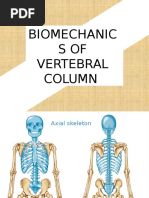 Endoskeleton of The Chicken | PDF | Vertebra | Vertebral Column