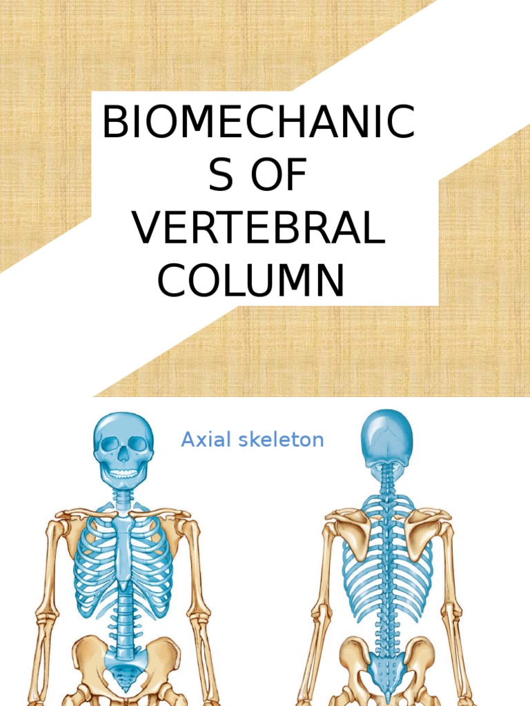 Biomechanics of The Vertebral Column | PDF | Vertebral Column | Vertebra