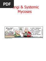 Microbe Mission Science Olympiad Cheat Sheet 2011 | PDF | Fungus ...