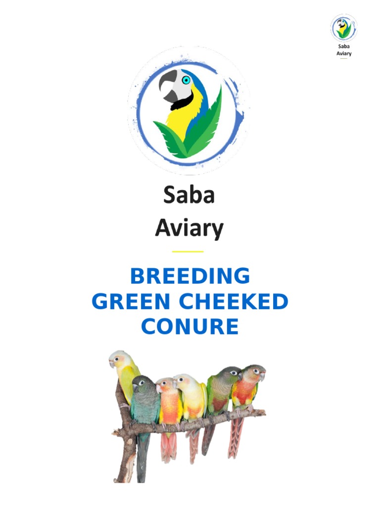 Breeding Green Cheeked Conure | PDF | Nest | Dietary Supplements