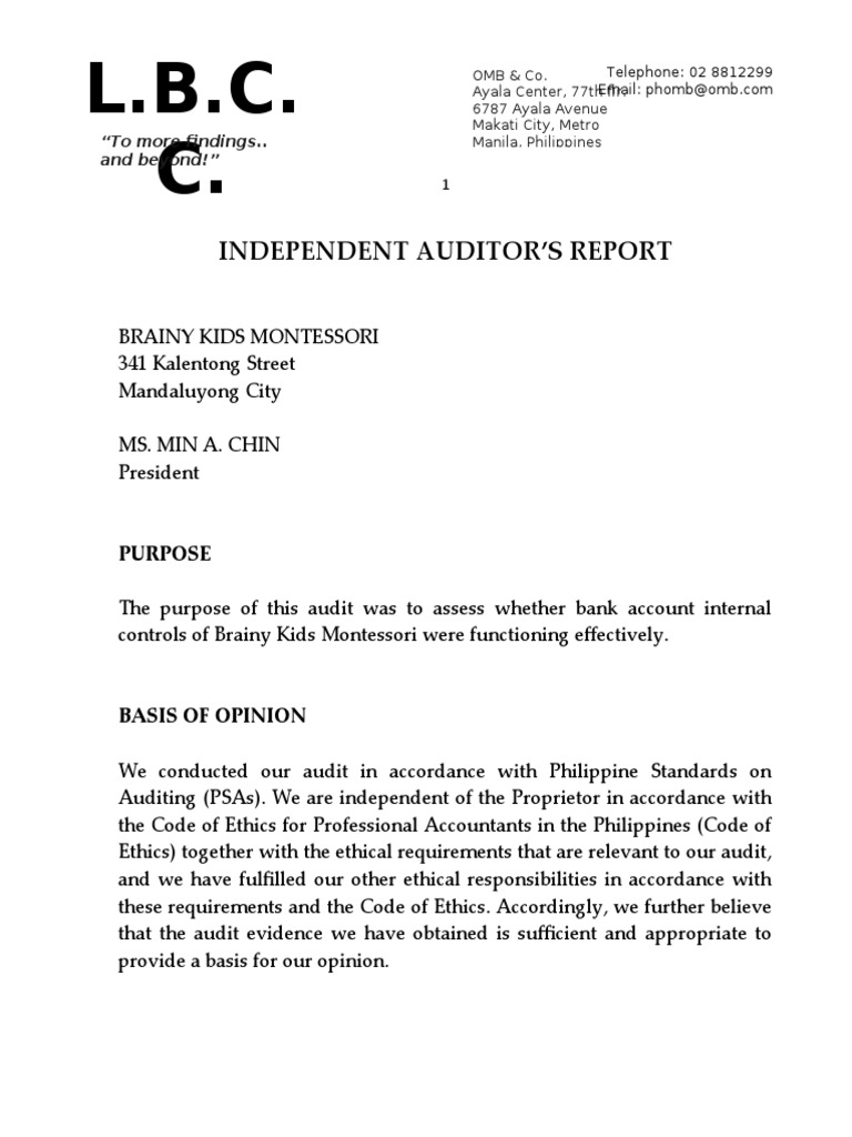 Independent Auditor's Report | PDF | Internal Control | Audit
