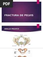 Clasificación de Seibert Los Defectos Del Reborde Alveolar | PDF