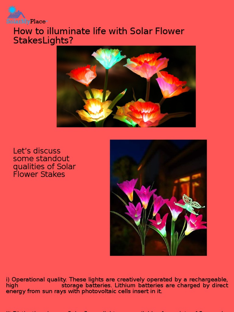 Illuminate Your Garden with Solar Flower Lights | PDF