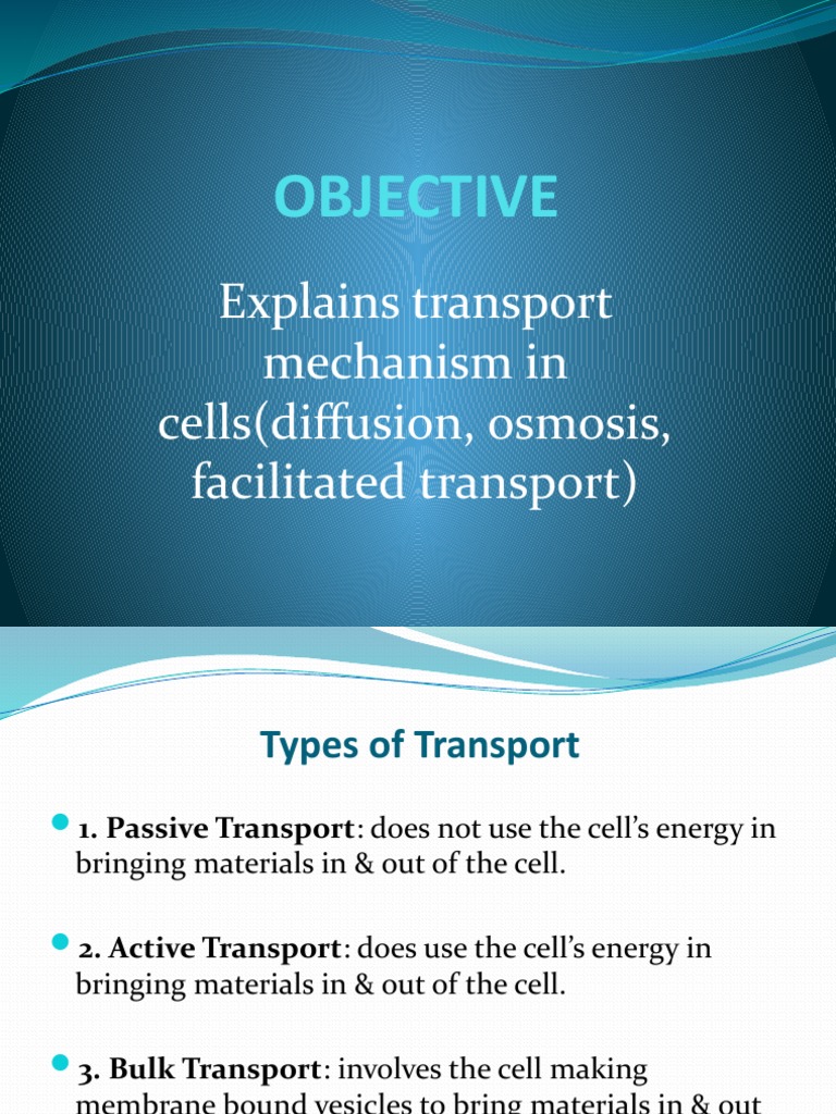 Cell Transport Mechanisms Explained | PDF | Science & Mathematics