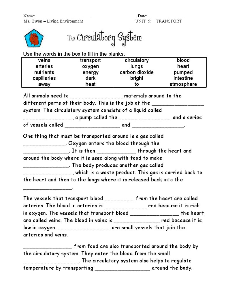 Circulatory System Transport Worksheet | PDF