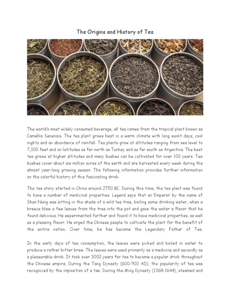 The Origins and History of Tea | PDF | Tea | Drink