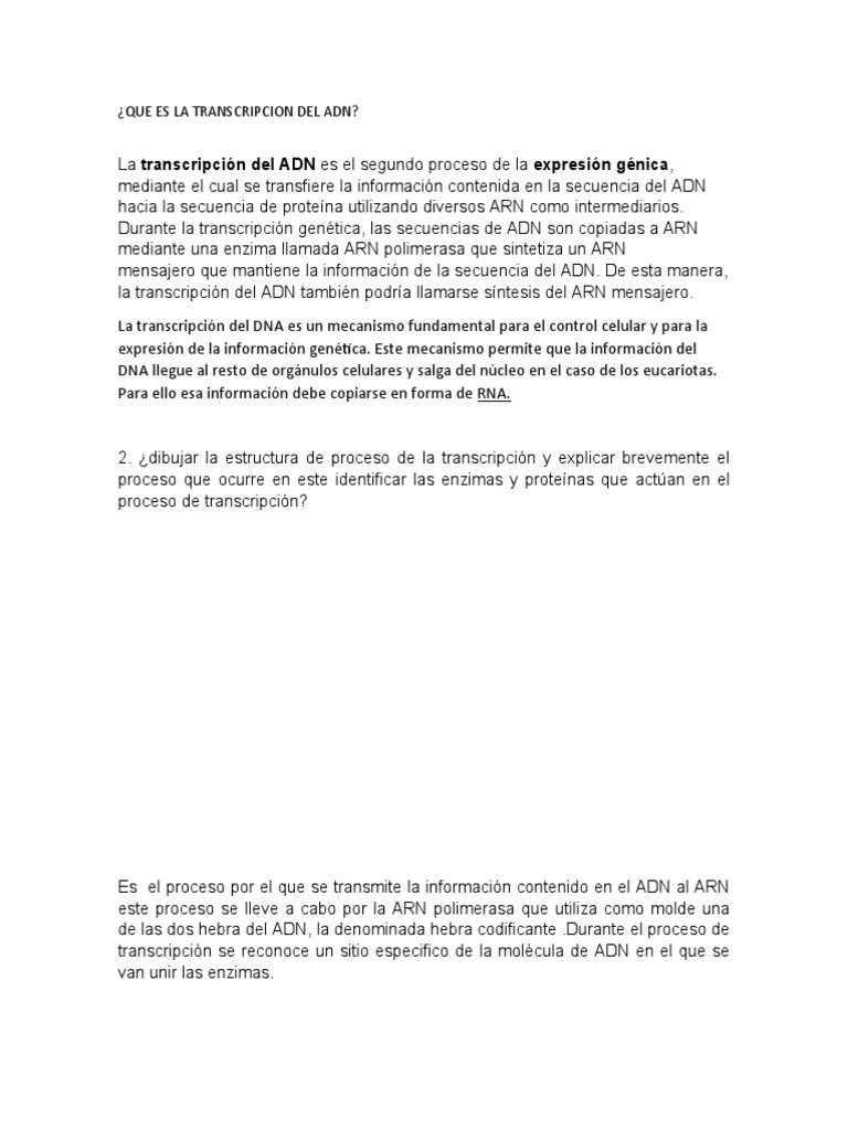 Que Es La Transcripcion Del Adn | PDF | Rna | Adn