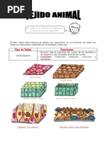 Disección del Muslo de Pollo: Anatomía y Función | PDF | Articulación ...