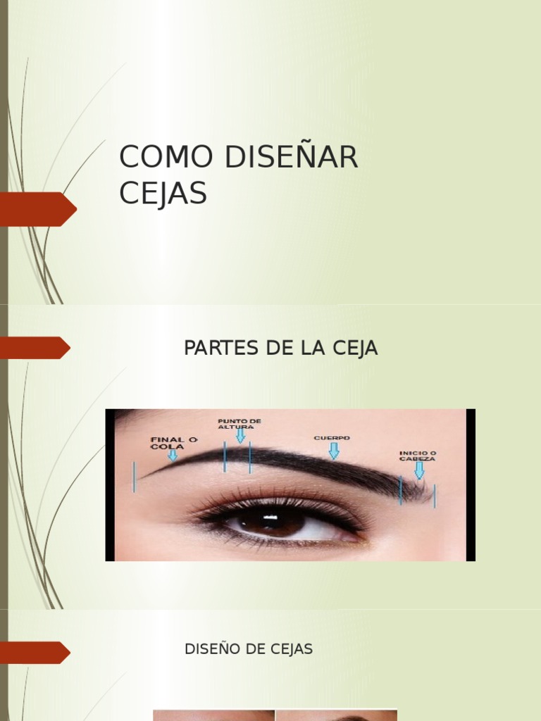 Como Diseñar Cejas | PDF | Ceja | Color