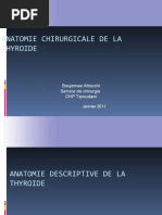 Segmentation Hépatique: Concepts Clés | PDF | Foie | Morphologie (Biologie)