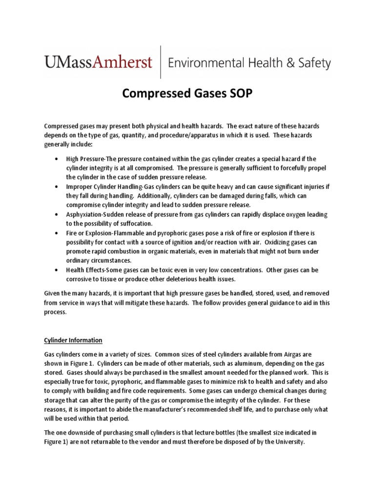 Compressed Gases SOP Final | PDF | Valve | Gases