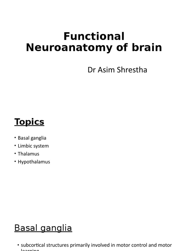 Neuroanatomy: Basal Ganglia & Limbic System | PDF | Striatum | Hippocampus