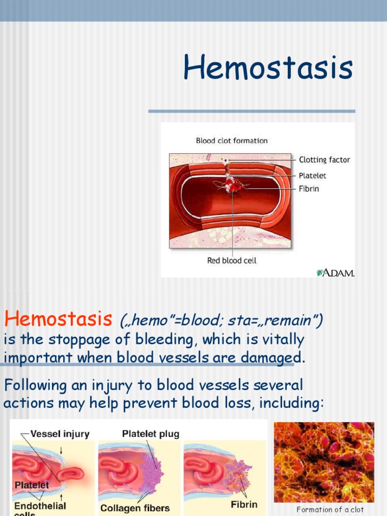 Lecture Hemostasis | PDF | Coagulation | Platelet
