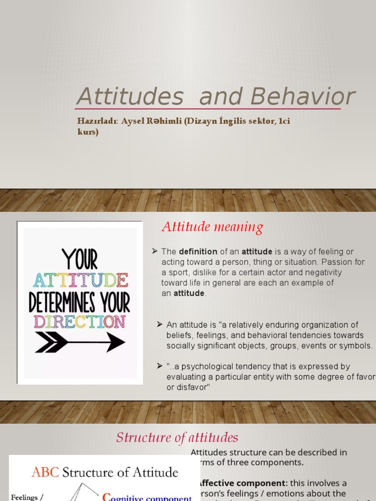 Understanding Attitudes and Behavior | PDF | Attitude (Psychology ...