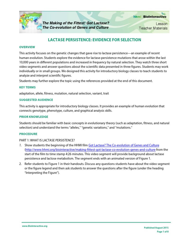 Lactase Persistence: Evidence For Selection | PDF | Zygosity | Natural ...