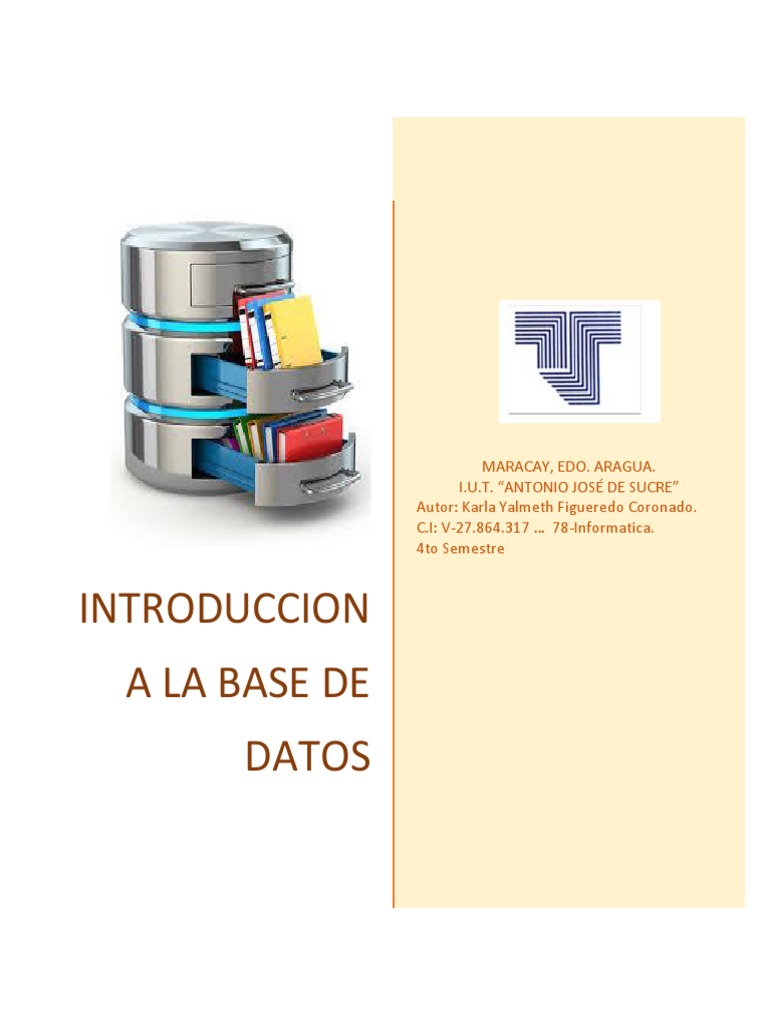 Introduccion A La Base de Datos RESUMEN | PDF | Bases de datos | Datos de computadora