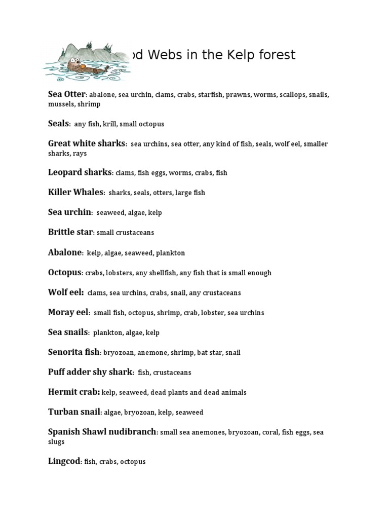 Food Webs in The Kelp Forest Info | PDF