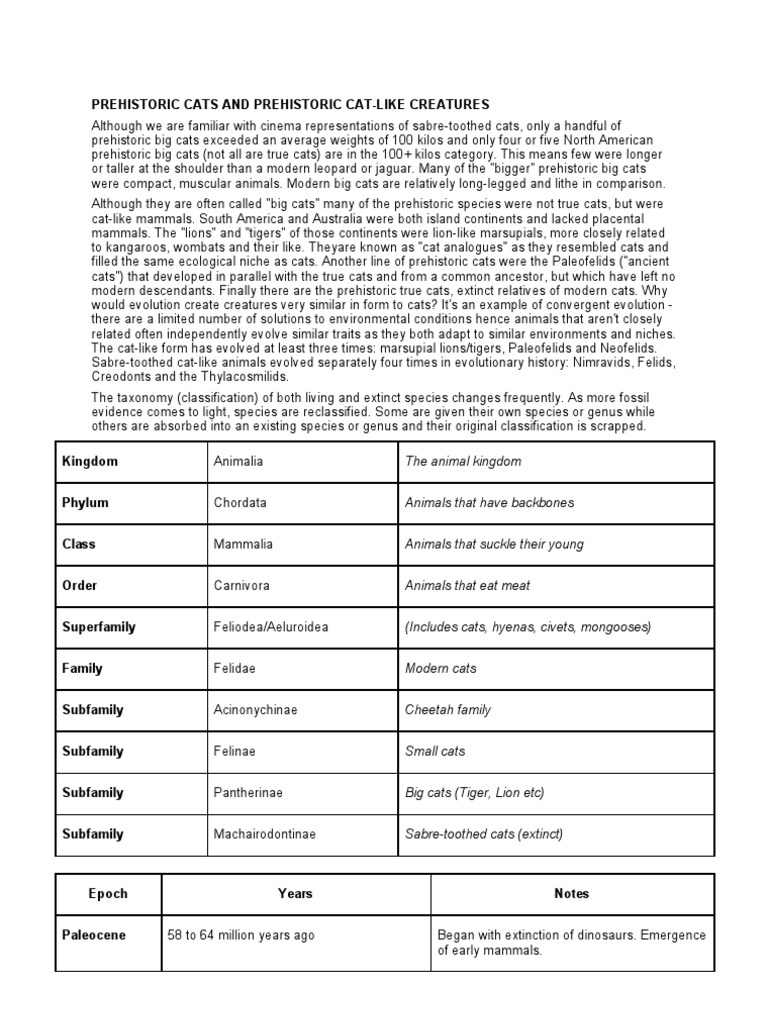 An In-Depth Exploration of the Evolution and Taxonomy of Prehistoric ...