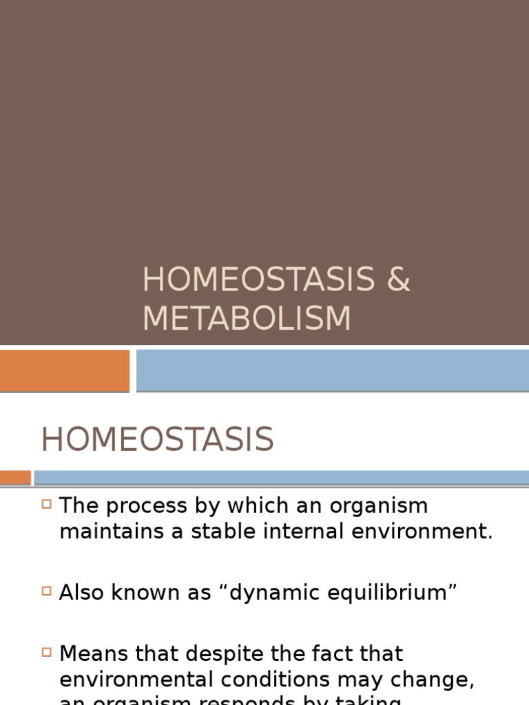 Homeostasis and Metabolism PPT | PDF