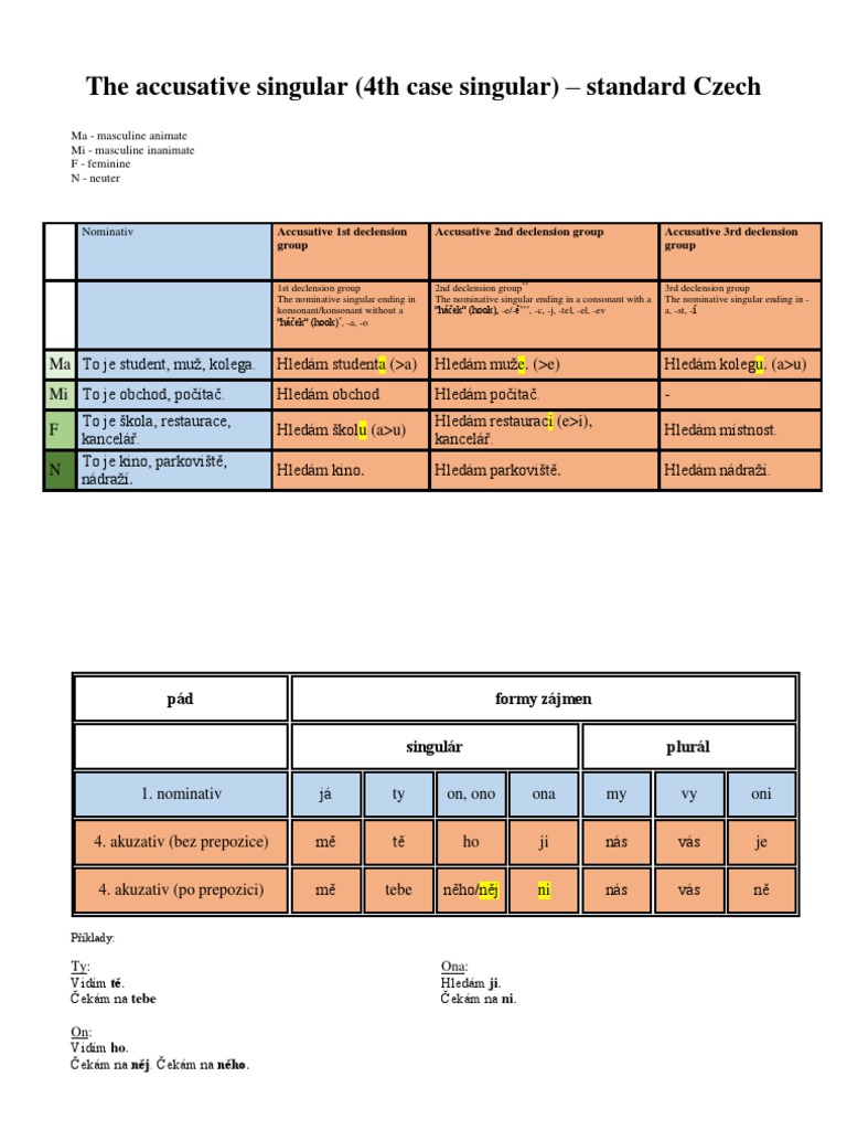 The Accusative Singular | PDF