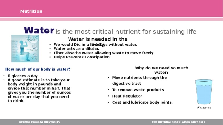 Water: Is The Most Critical Nutrient For Sustaining Life | PDF