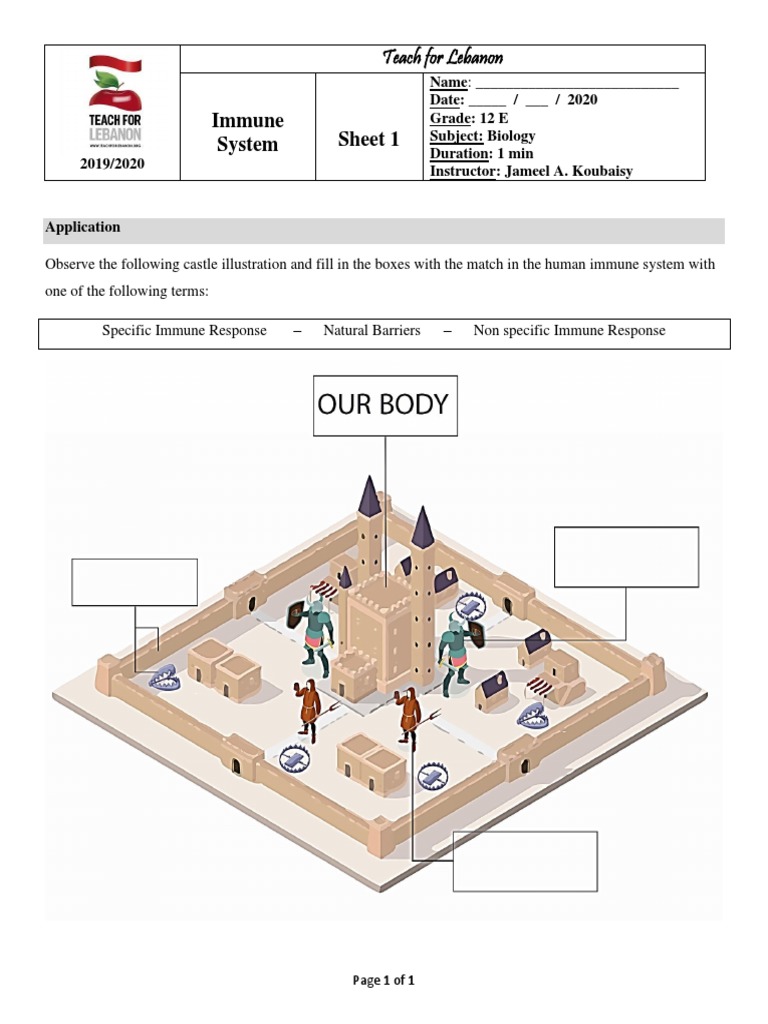 Immune System Castle Illustration Activity | PDF