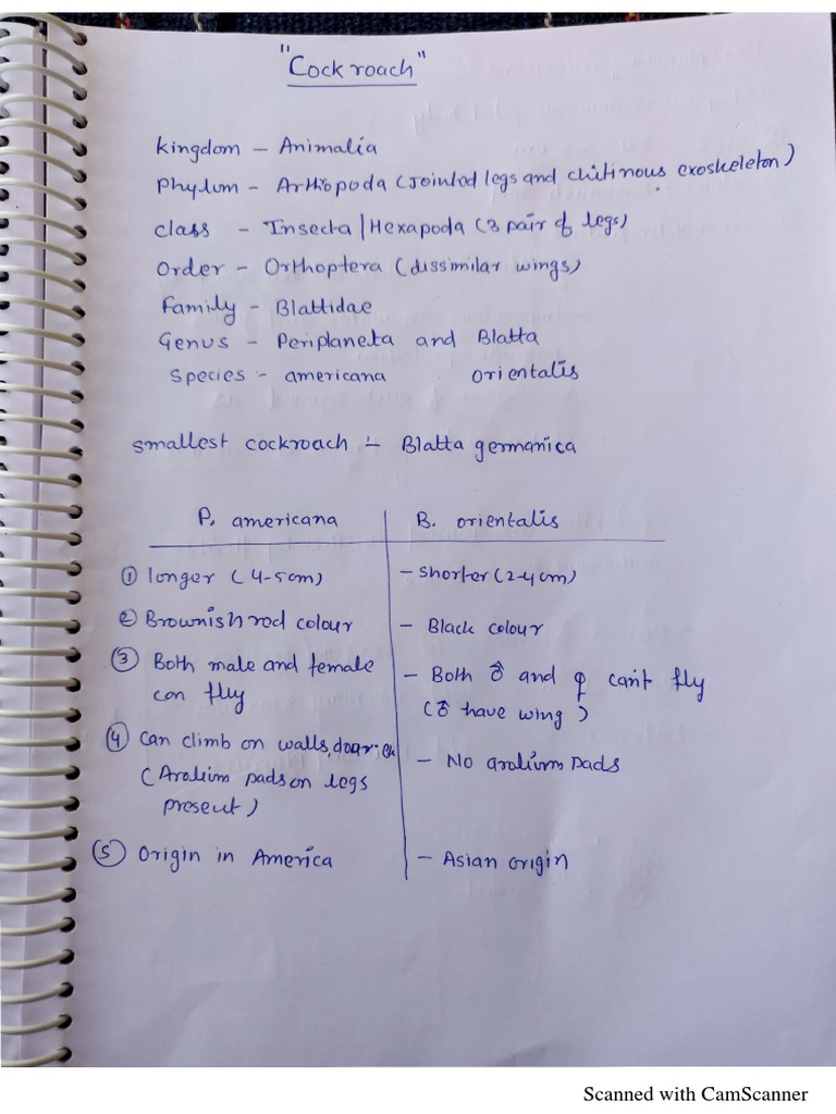 Cockroach Notes | PDF