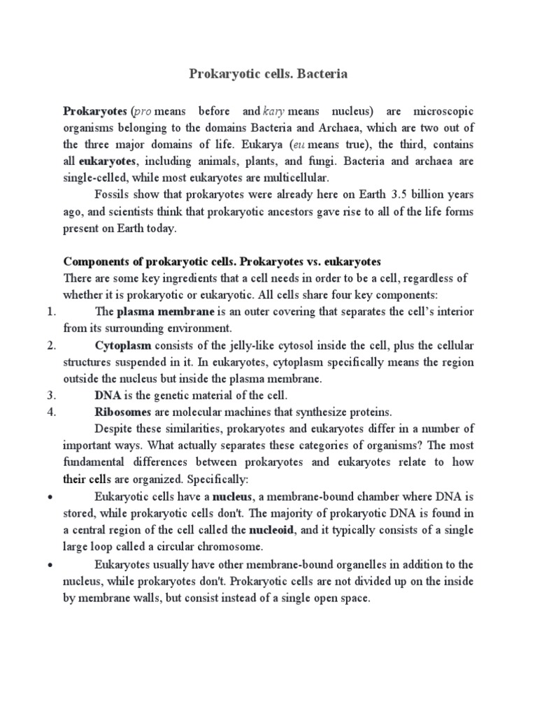 Prokaryotic Cells. Bacteria | PDF | Prokaryote | Cell (Biology)