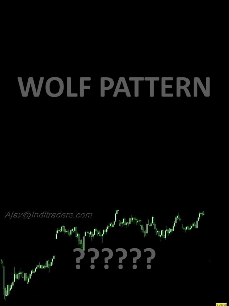 Learning Wolf | PDF | Teaching Mathematics