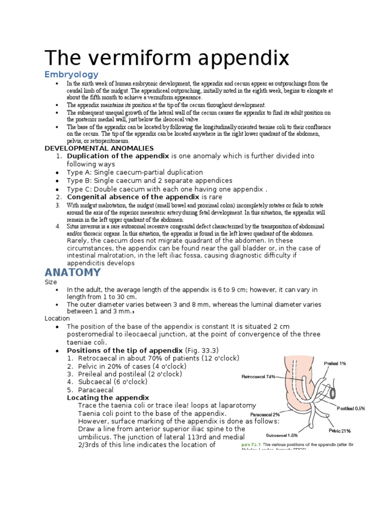 The Anatomy, Development, Histology, Blood Supply, Innervation ...