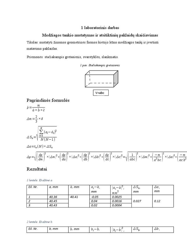 1 Laboratorinis Darbas | PDF