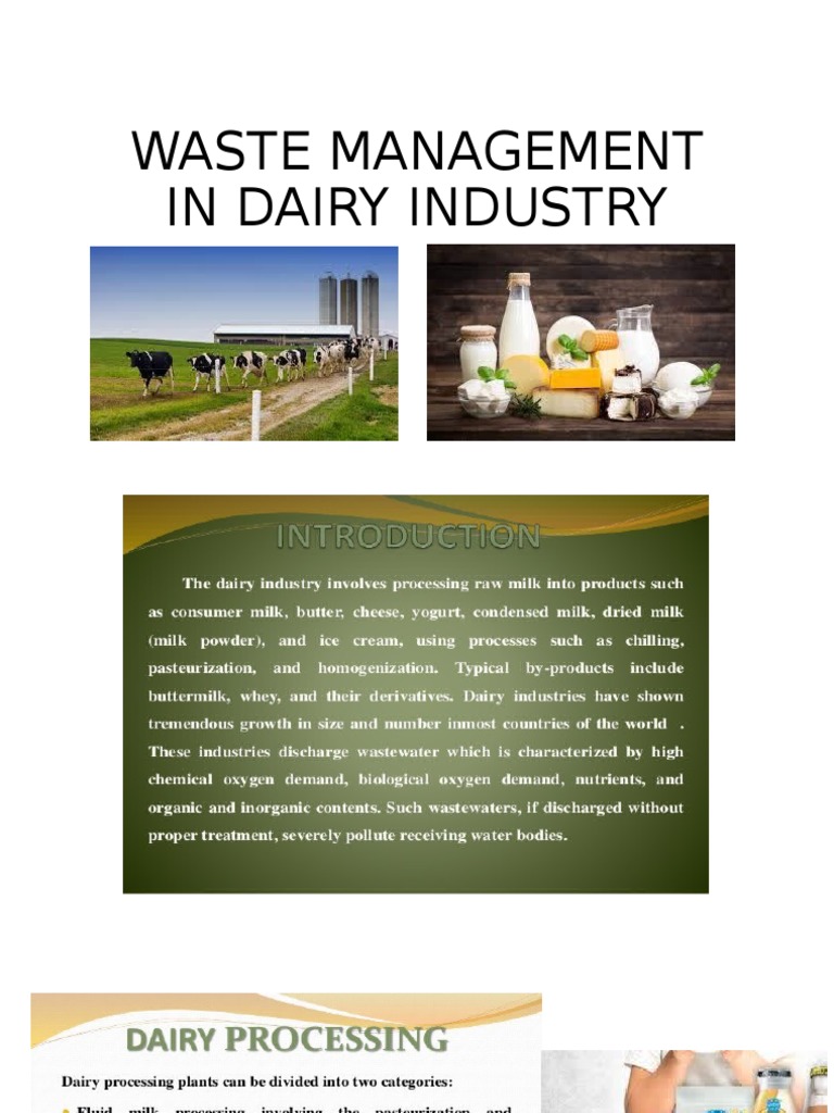 Dairy Industry Waste Management Guide | PDF