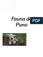 Fauna y Flora de La Region PUNO - ECOLOGIA Y DESARROLLO SOSTENIBLE ...