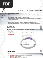 Mitosis Mover Webquest Bioman PDF | PDF | Mitosis | Chromosome